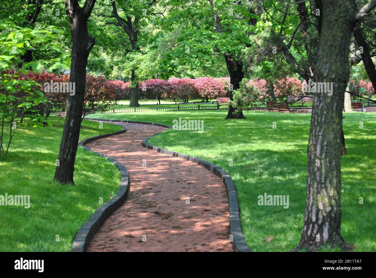 Pathway in a park Stock Photo - Alamy
