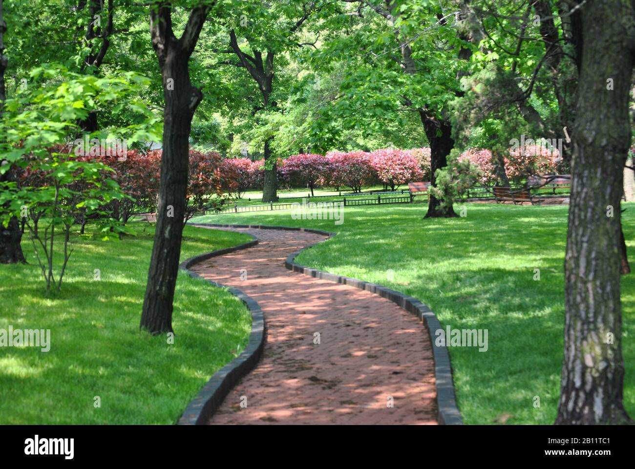 Pathway in a park Stock Photo - Alamy