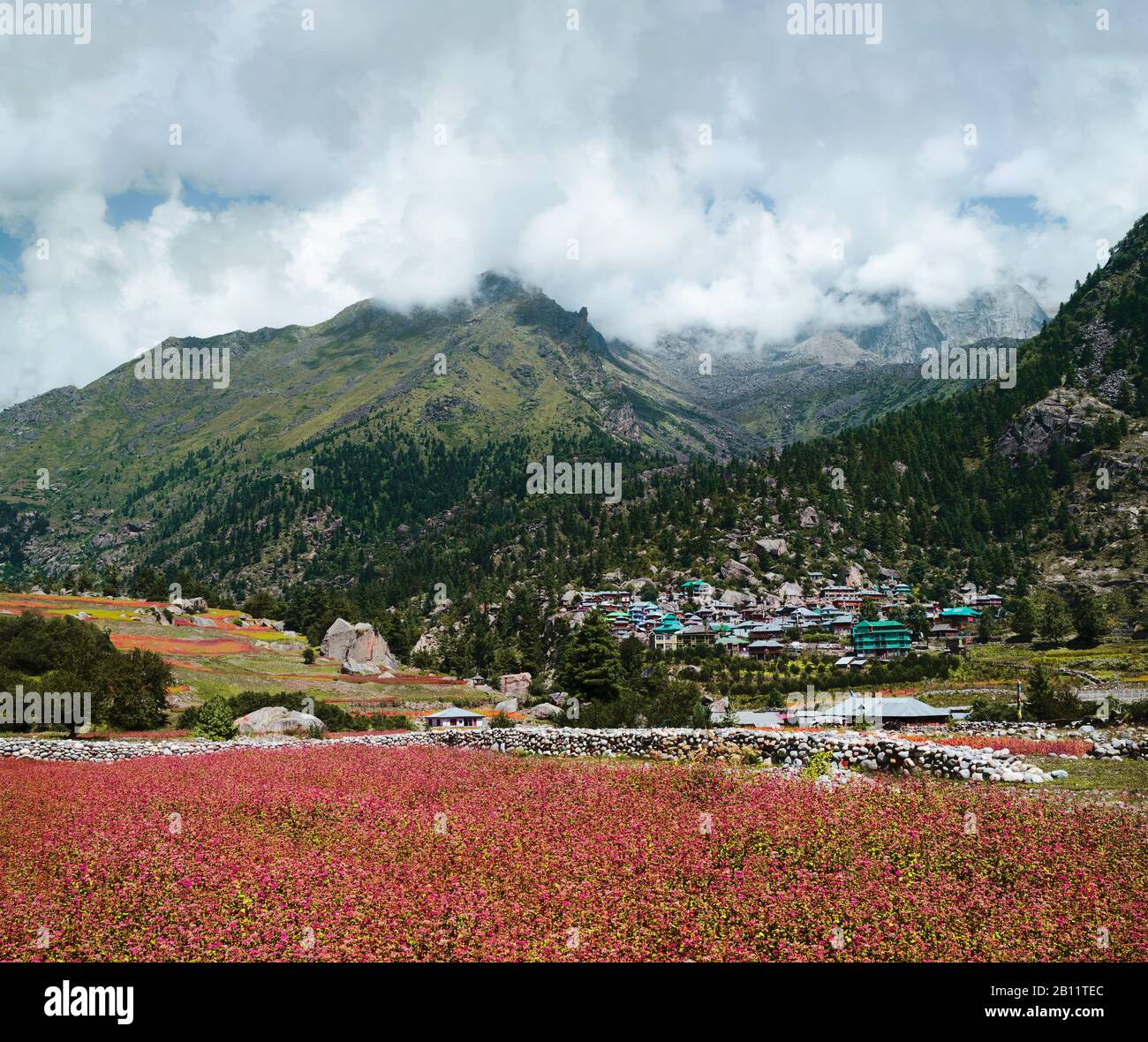 Rackham village surrounded by pine trees and flanked by Himalayan peaks ...