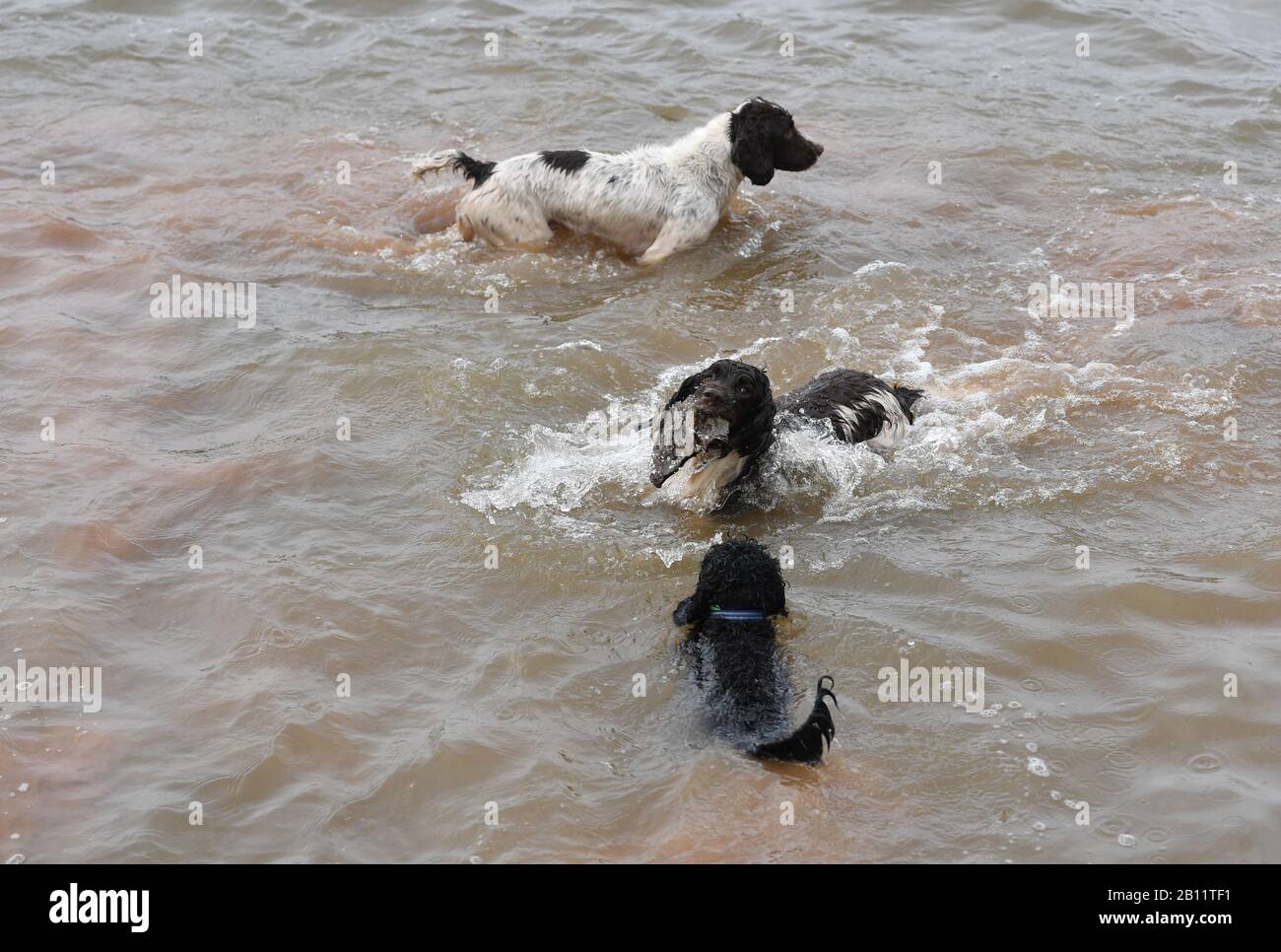 Flooded pitches upton upon severn rugby club hi-res stock photography ...