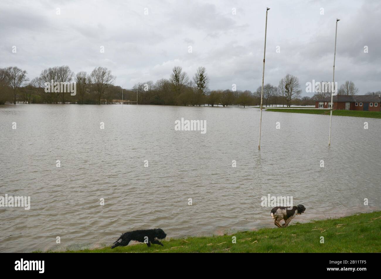 Flooded pitches upton upon severn rugby club hi-res stock photography ...