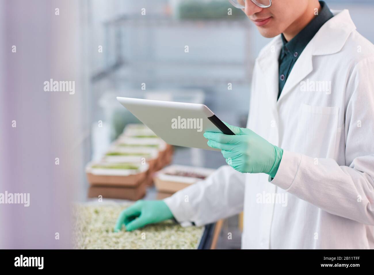 Healthcare professional reading online hi-res stock photography and ...