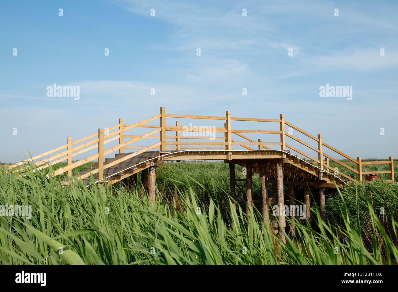 The wood bridge in wetland park Stock Photo - Alamy