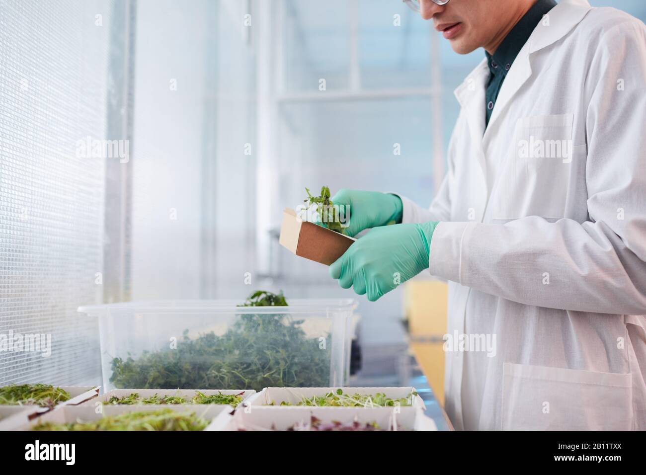 Scientific planting hi-res stock photography and images - Alamy