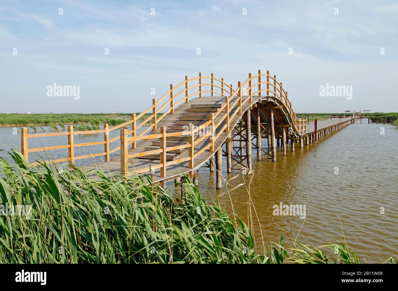 The wood bridge in wetland park Stock Photo - Alamy