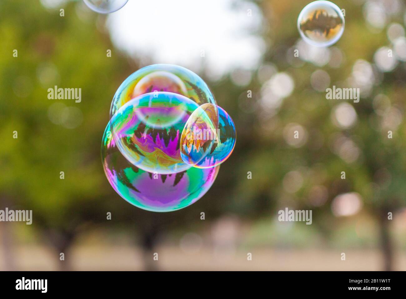 Colorful soap bubbles with reflections Stock Photo - Alamy