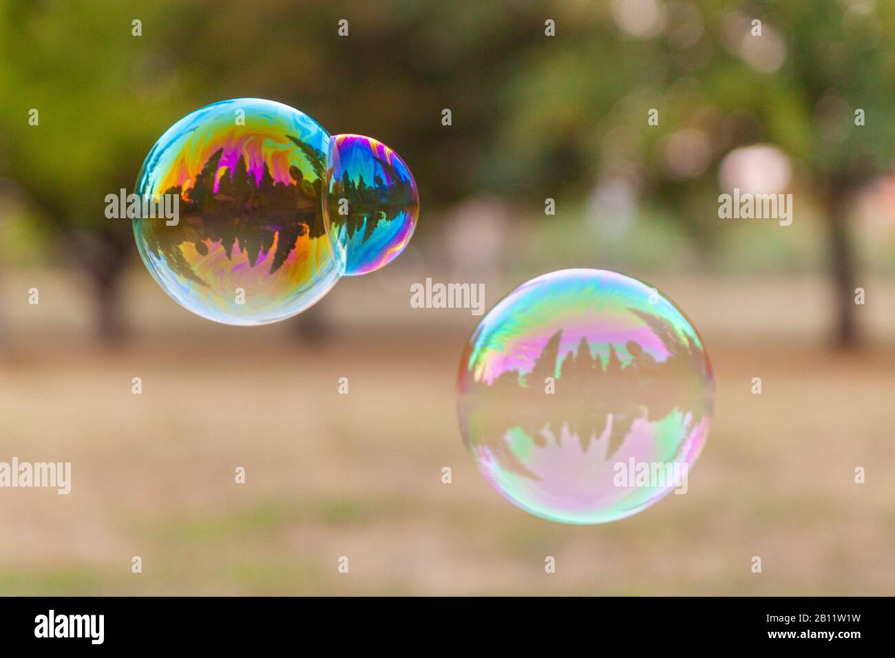 Colorful soap bubbles with reflections Stock Photo - Alamy