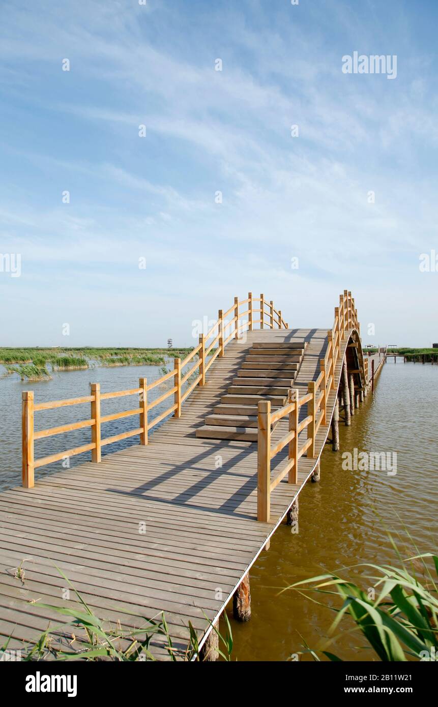 The wood bridge in wetland park Stock Photo - Alamy