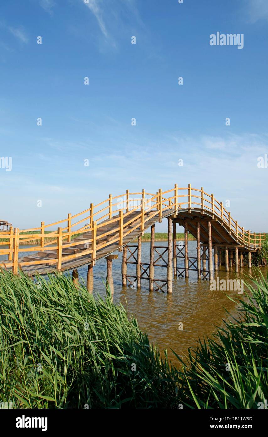 The wood bridge in wetland park Stock Photo - Alamy