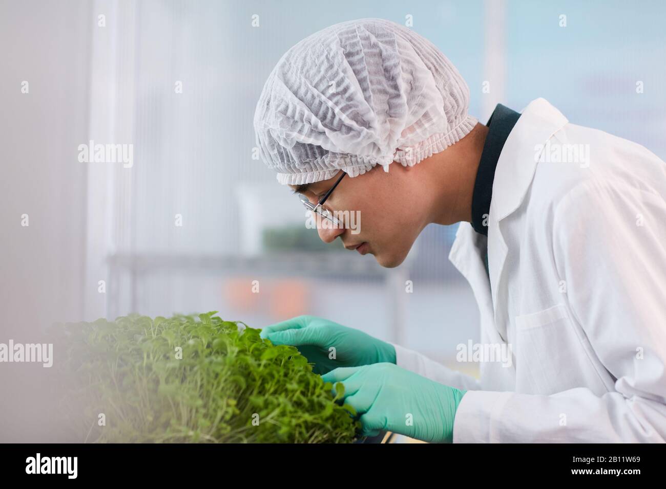 Asian young farmer in cap and in white coat examining the seedlings in ...