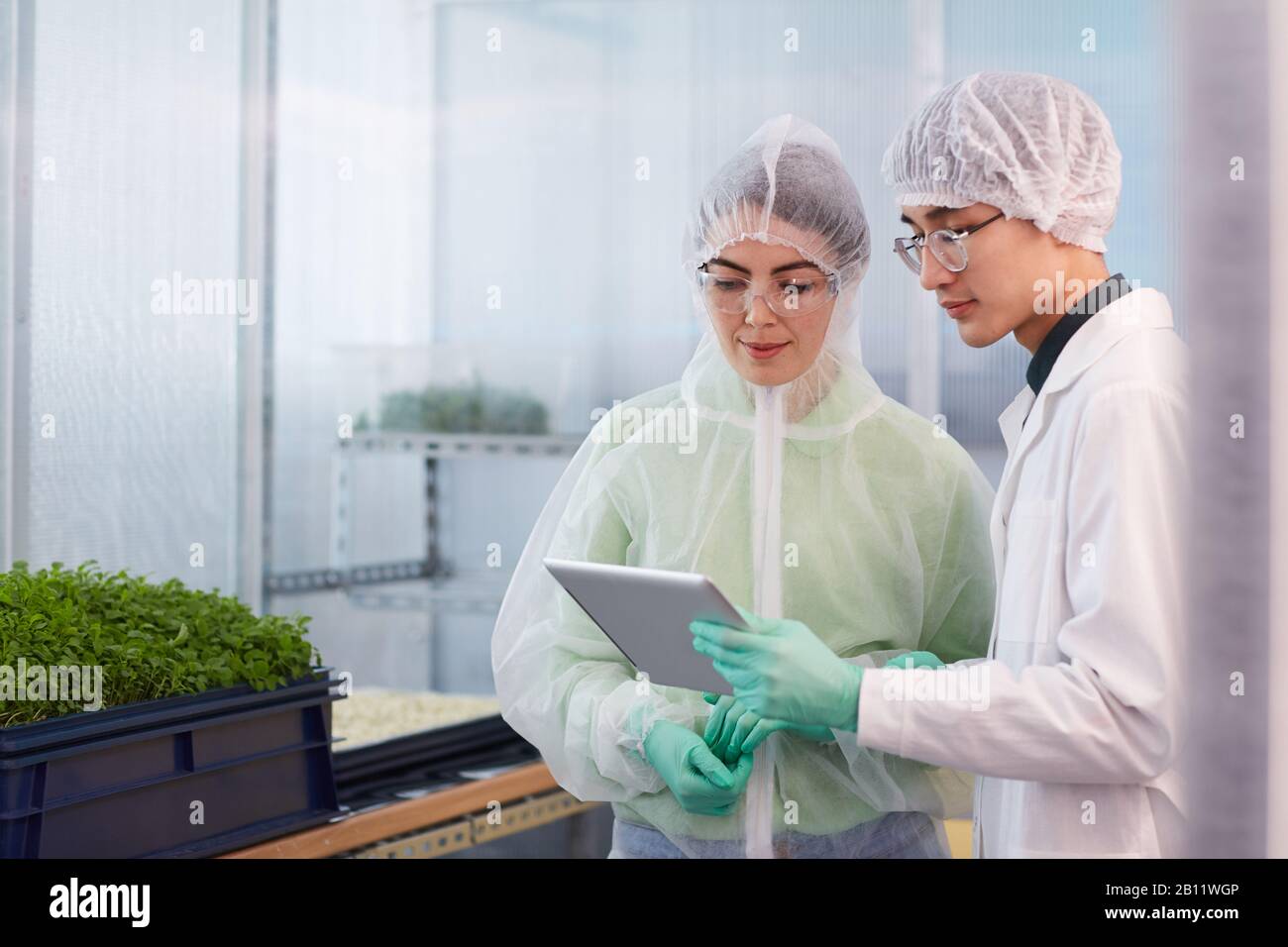 Two scientists in protective clothing using digital tablet while ... Two scientists in protective clothing using digital tablet while ...