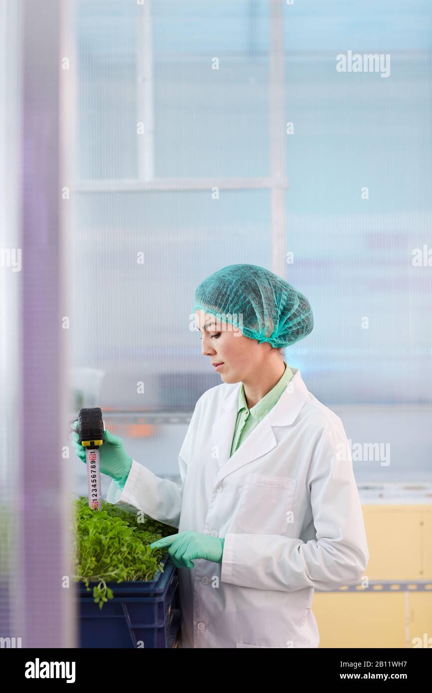 Young woman in white coat and in cap using tape measure to measuring ...