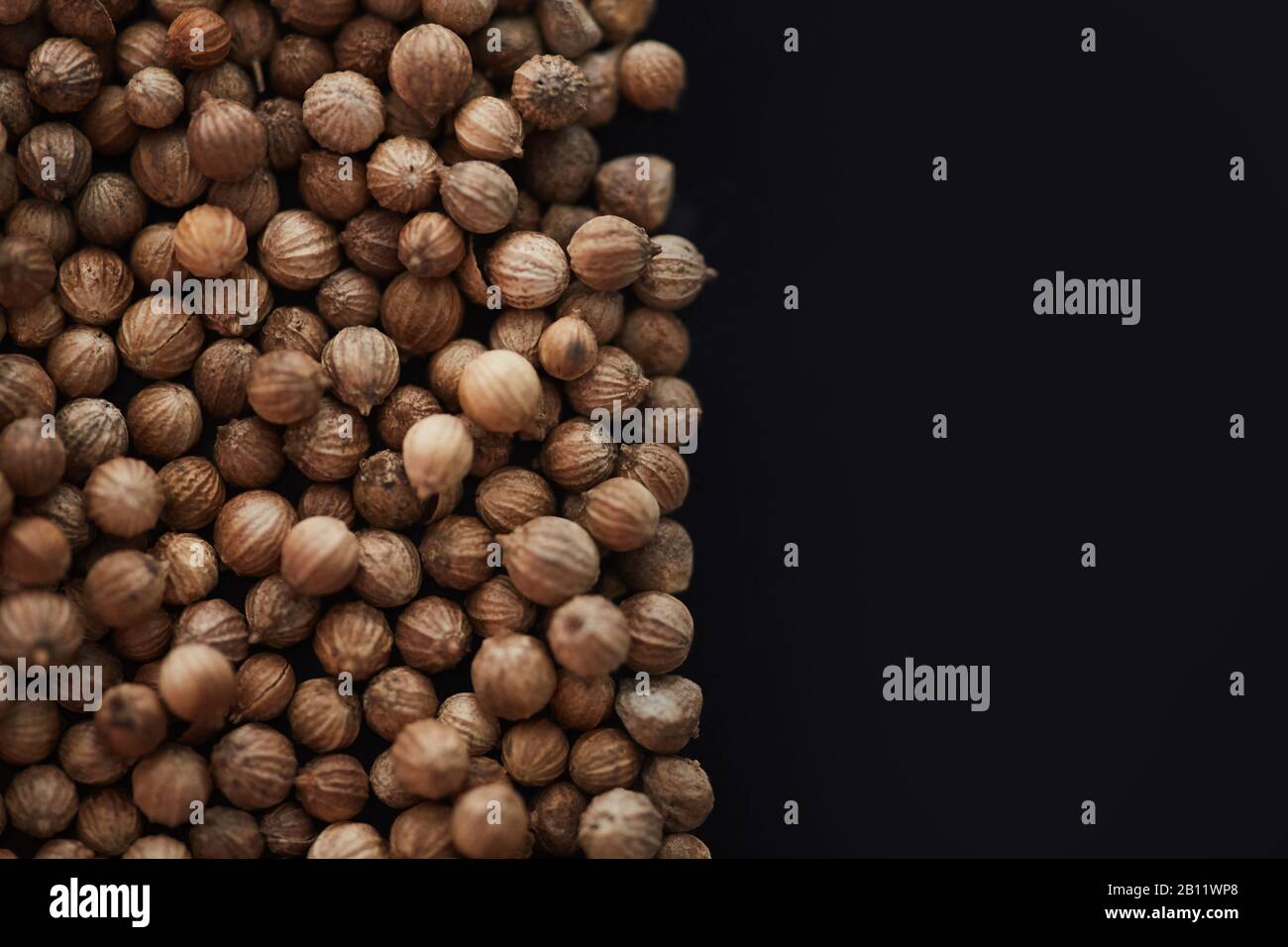 Plants On Black Background High Resolution Stock Photography and Images ...