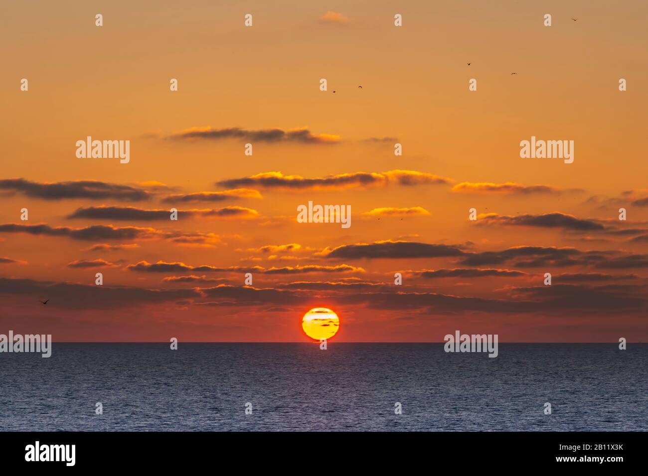 red sunset in Brighton Stock Photo - Alamy