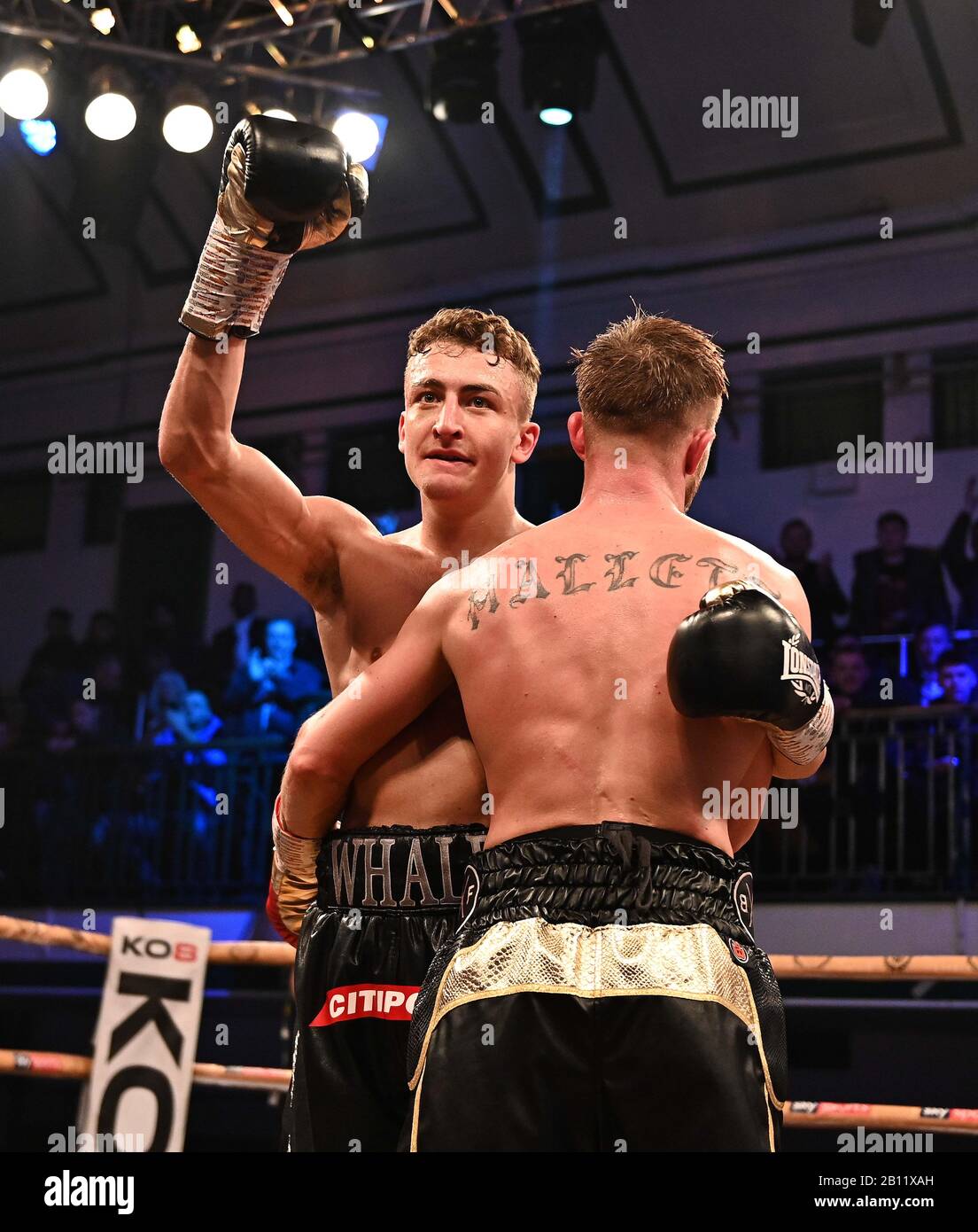 Boxing Bout High Resolution Stock Photography and Images - Alamy