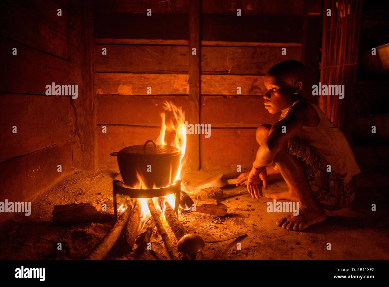 The life of the Bayaka Pygmies in the equatorial rainforest, Central ...