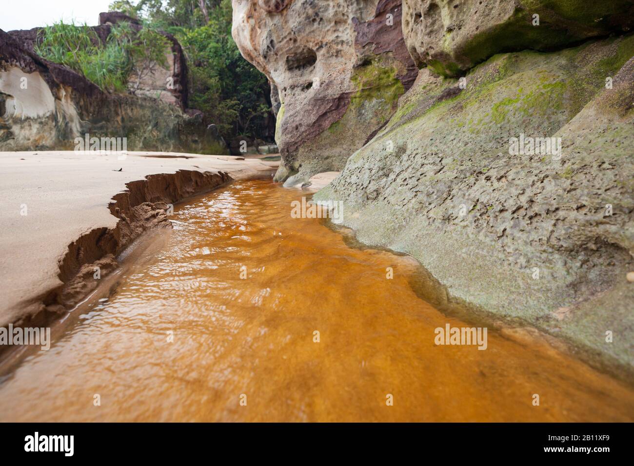 Small stream of water at beach in Bako national park Borneo Malaysia ...