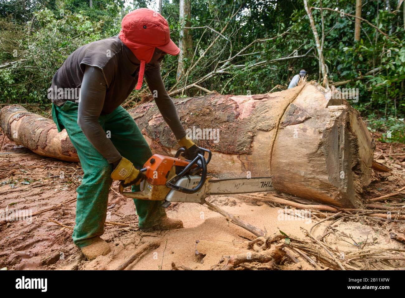Deforestation africa hi-res stock photography and images - Alamy