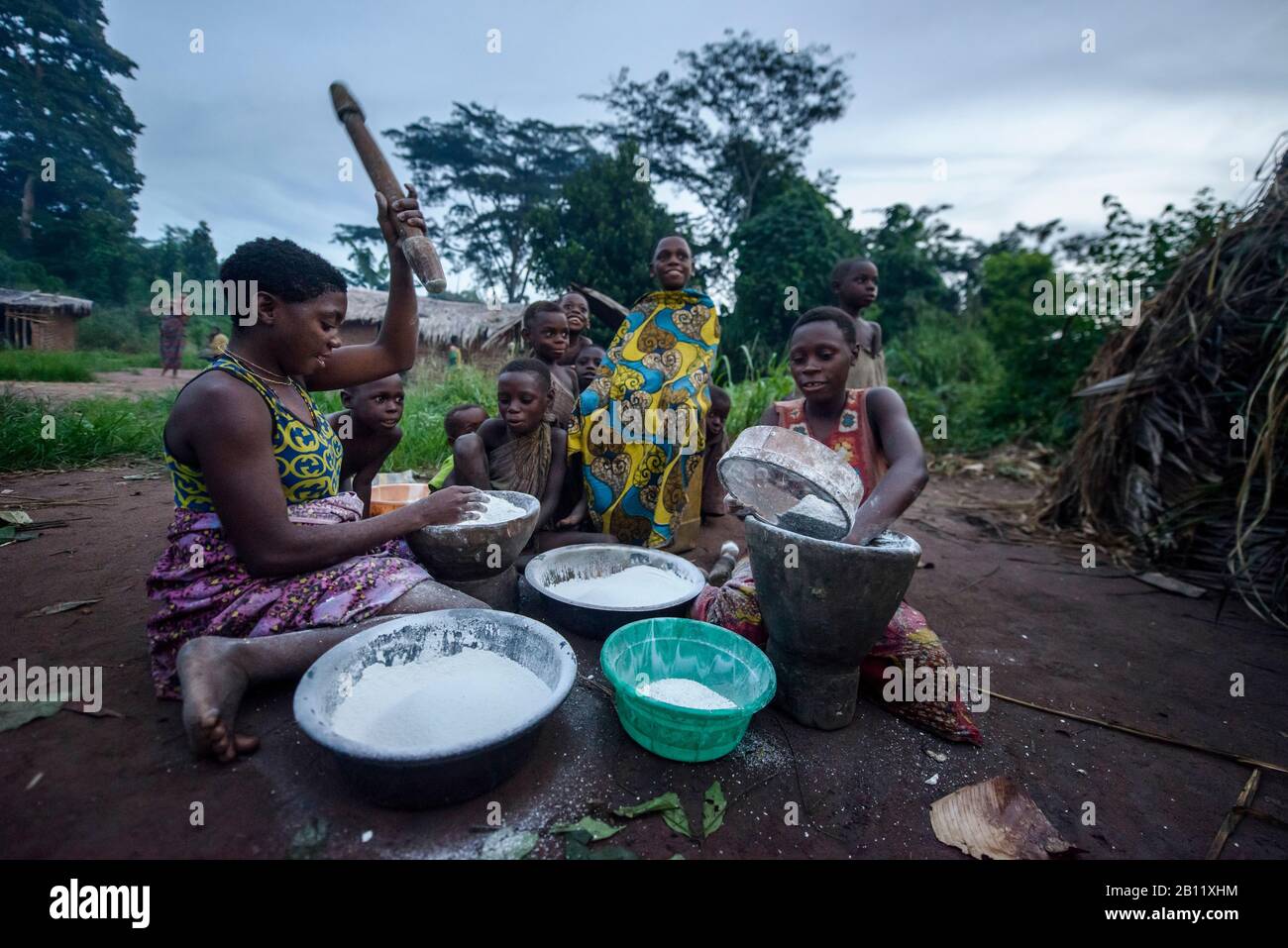 The life of the Bayaka Pygmies in the equatorial rainforest, Central ...