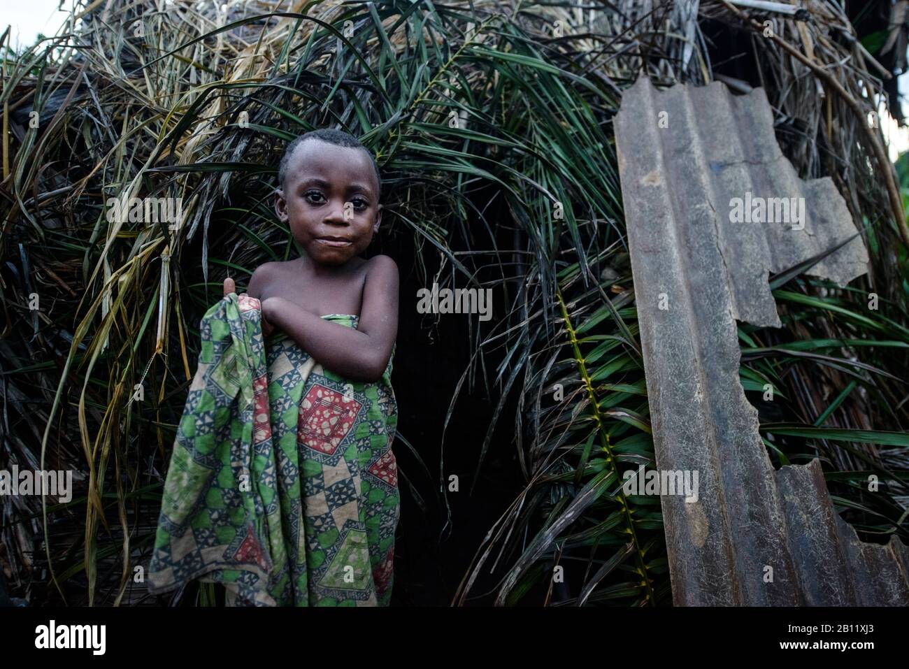 The life of the Bayaka Pygmies in the equatorial rainforest, Central ...