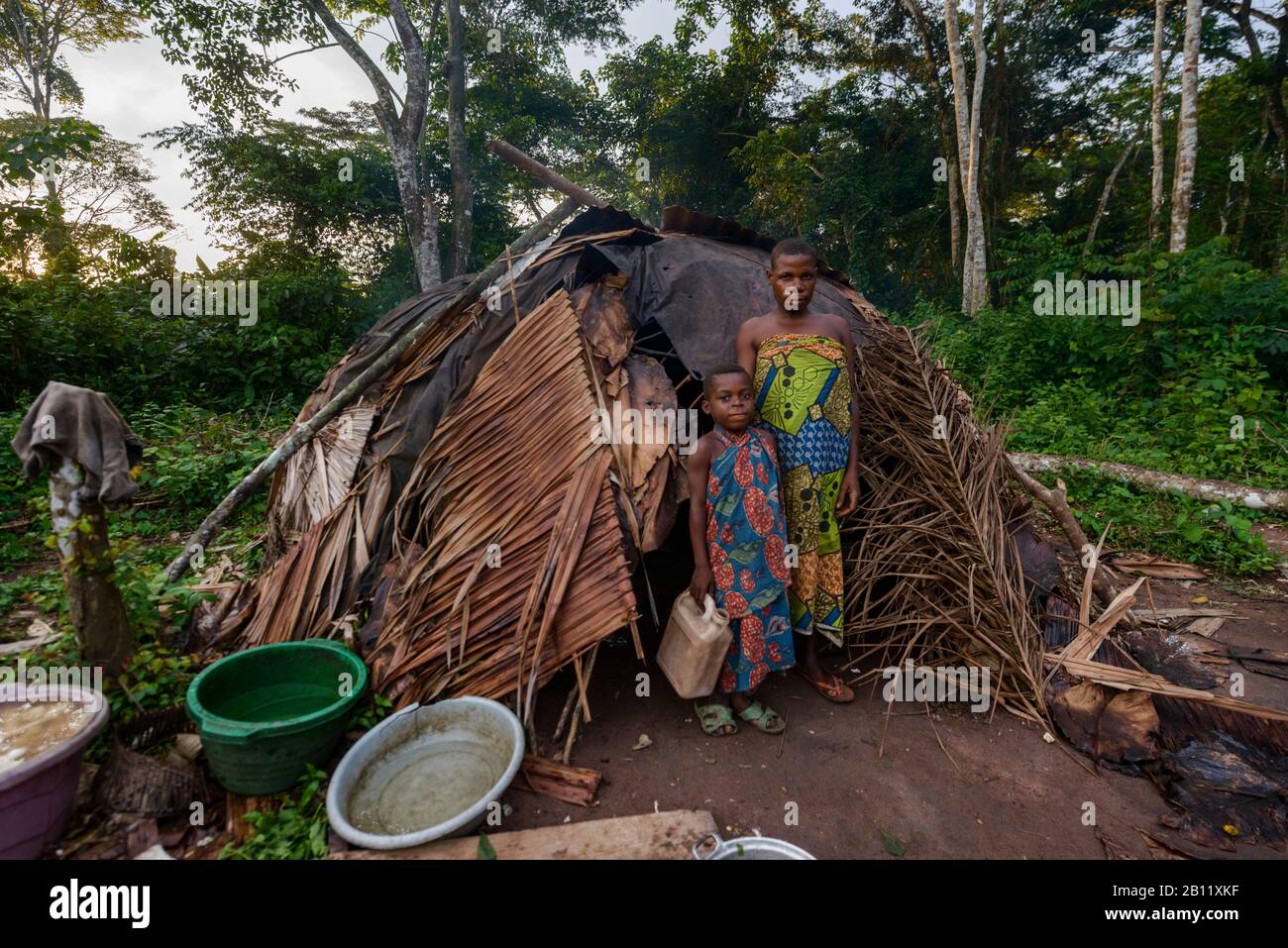 The life of the Bayaka Pygmies in the equatorial rainforest, Central ...