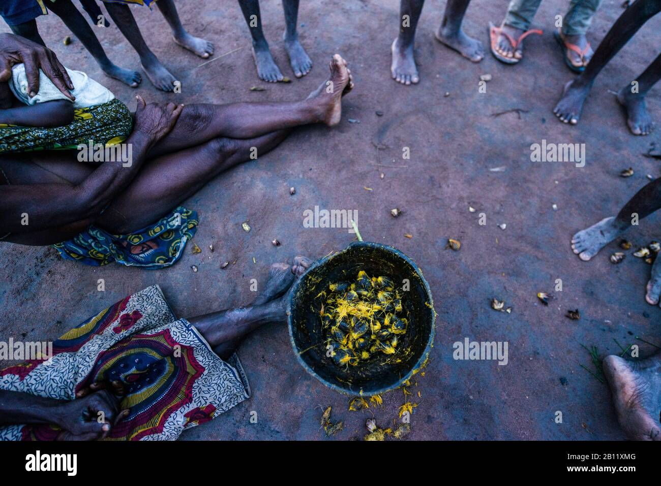 The life of the Bayaka Pygmies in the equatorial rainforest, Central ...
