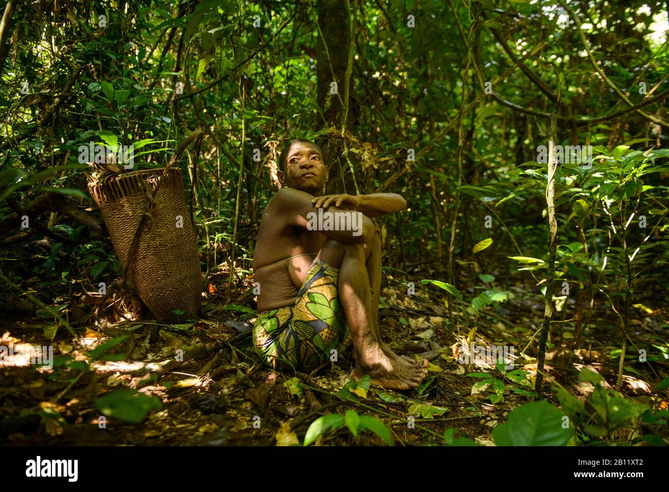 The life of the Bayaka Pygmies in the equatorial rainforest, Central ...