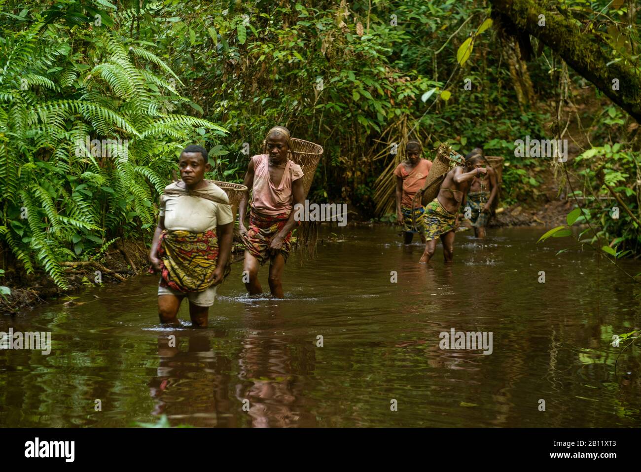 The life of the Bayaka Pygmies in the equatorial rainforest, Central ...