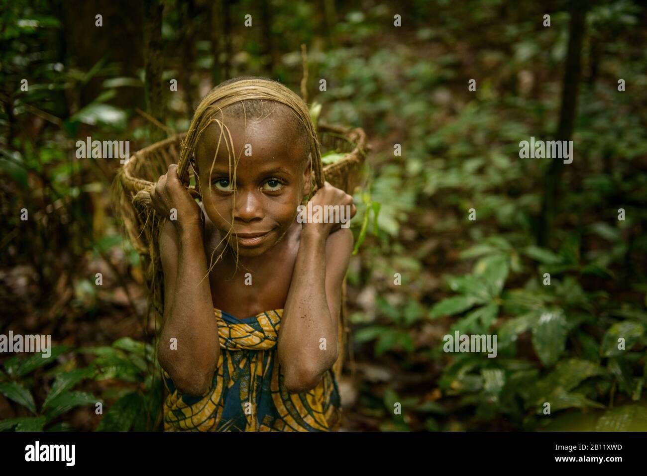 The life of the Bayaka Pygmies in the equatorial rainforest, Central ...