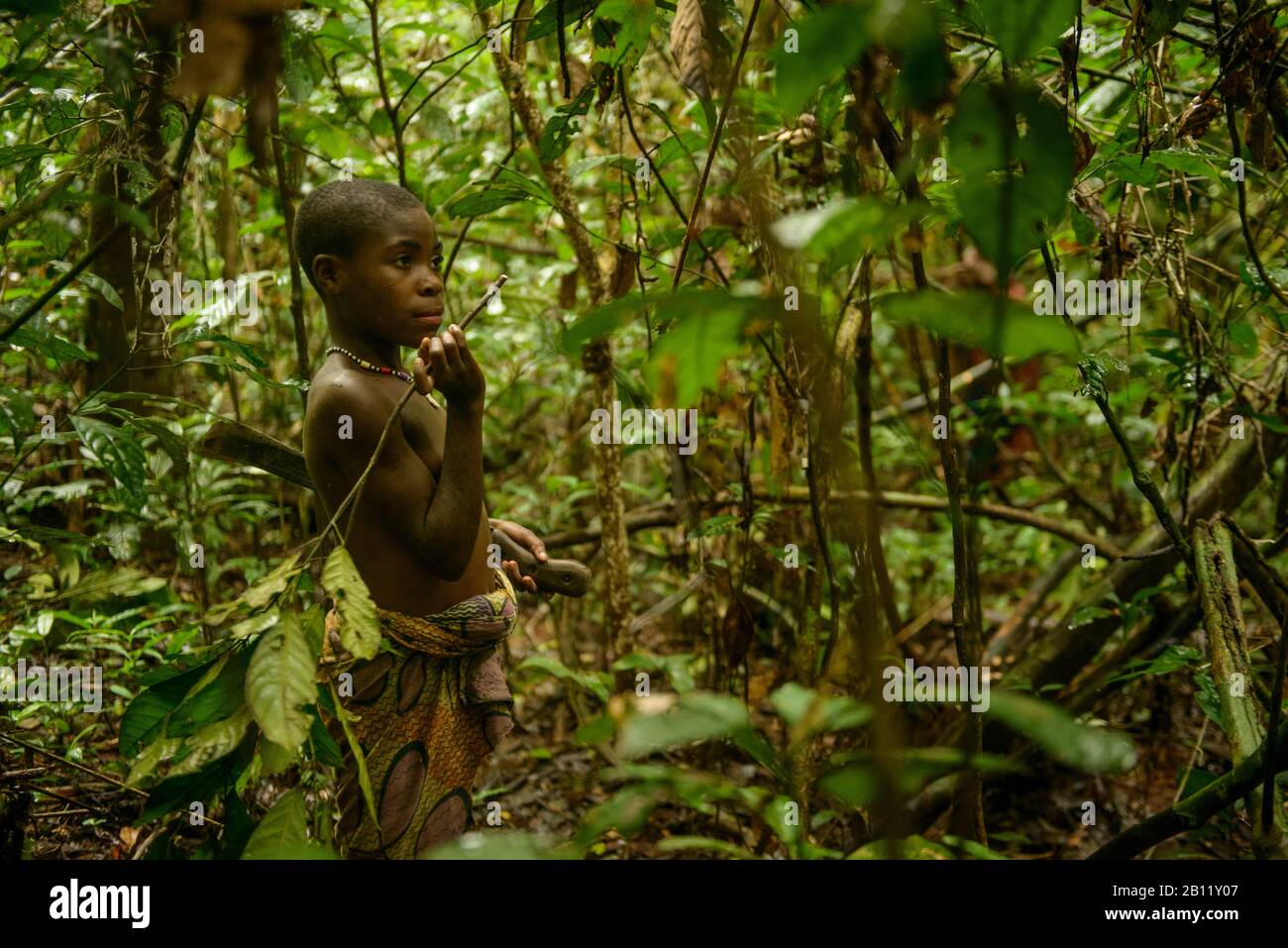 The life of the Bayaka Pygmies in the equatorial rainforest, Central ...