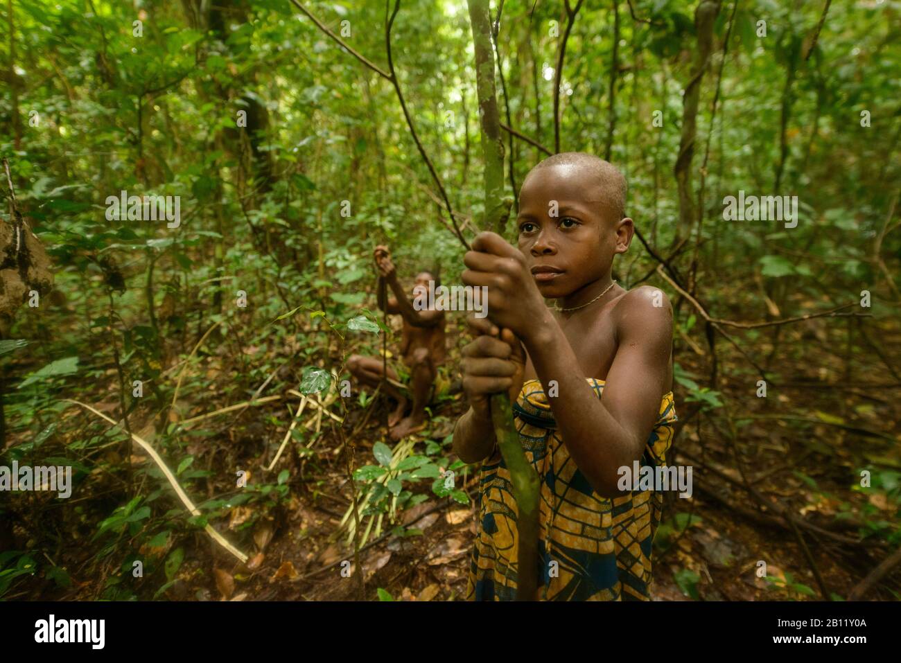 The life of the Bayaka Pygmies in the equatorial rainforest, Central ...