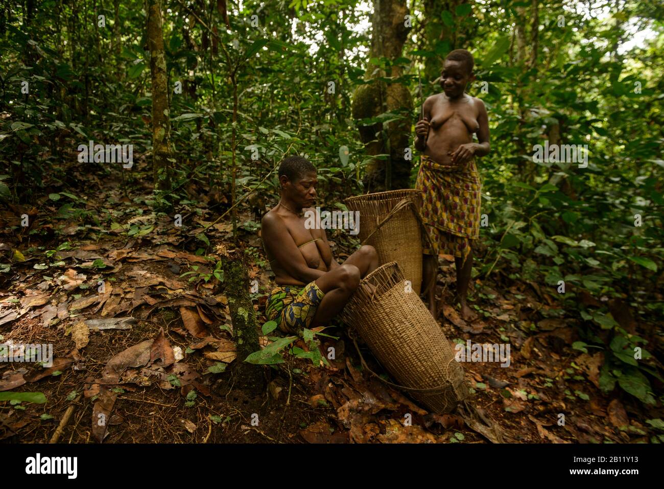 The life of the Bayaka Pygmies in the equatorial rainforest, Central ...