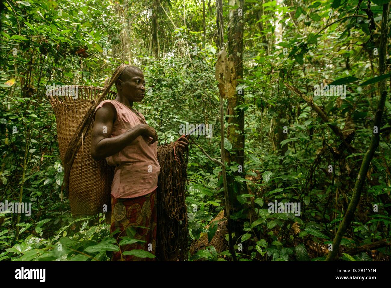 The life of the Bayaka Pygmies in the equatorial rainforest, Central ...