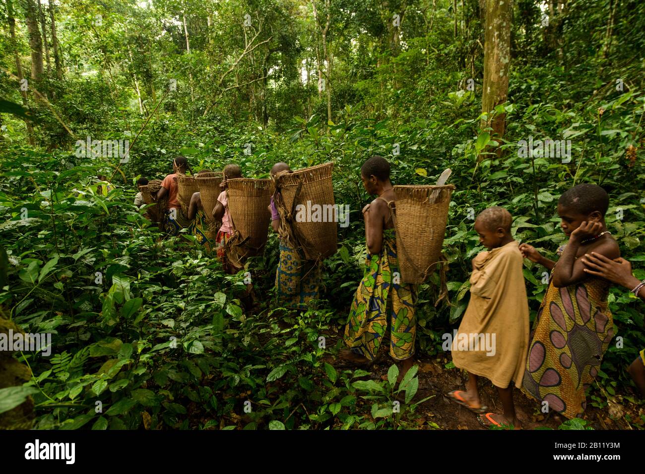 The life of the Bayaka Pygmies in the equatorial rainforest, Central ...