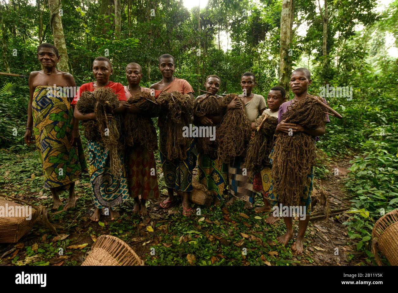The life of the Bayaka Pygmies in the equatorial rainforest, Central ...