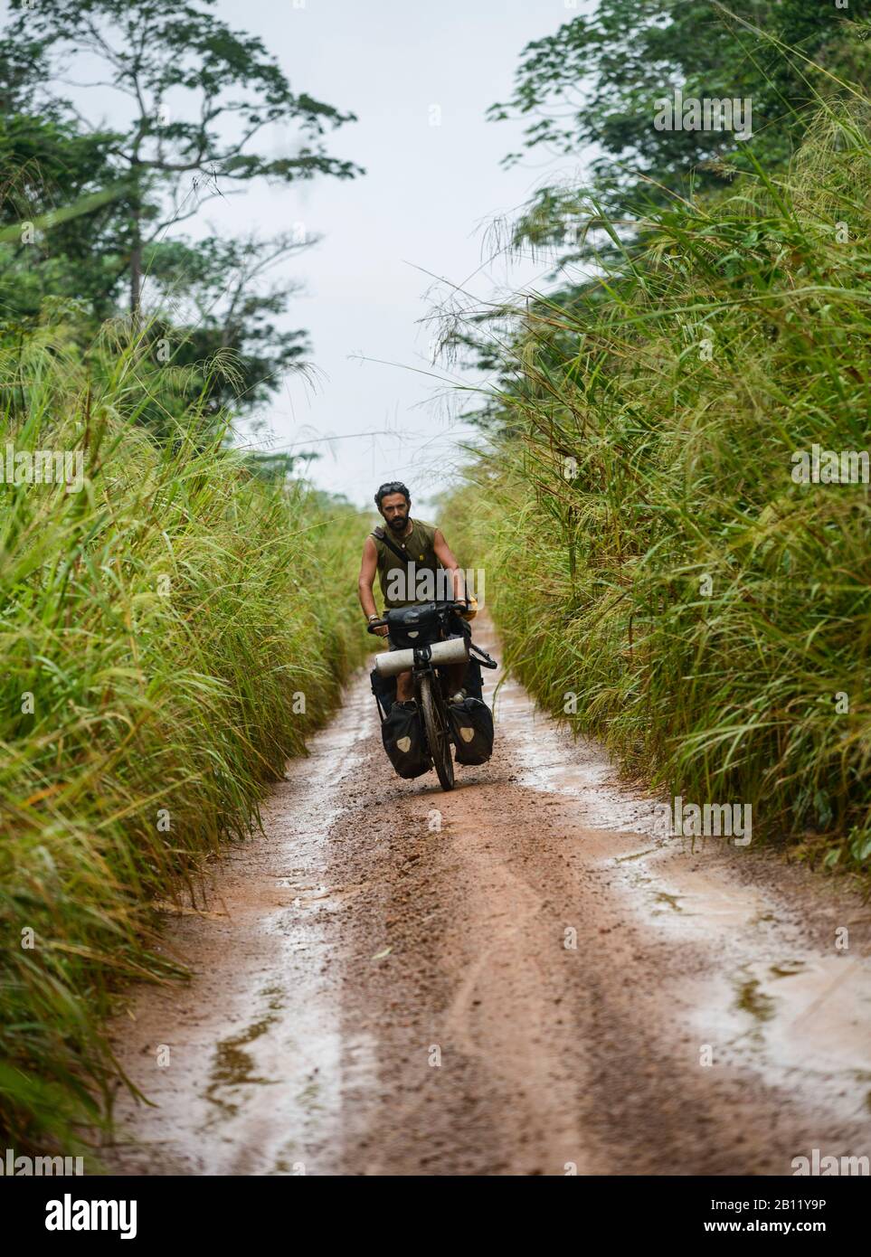 Cycling in Gabon's equatorial rainforest, Central Africa Stock Photo ...