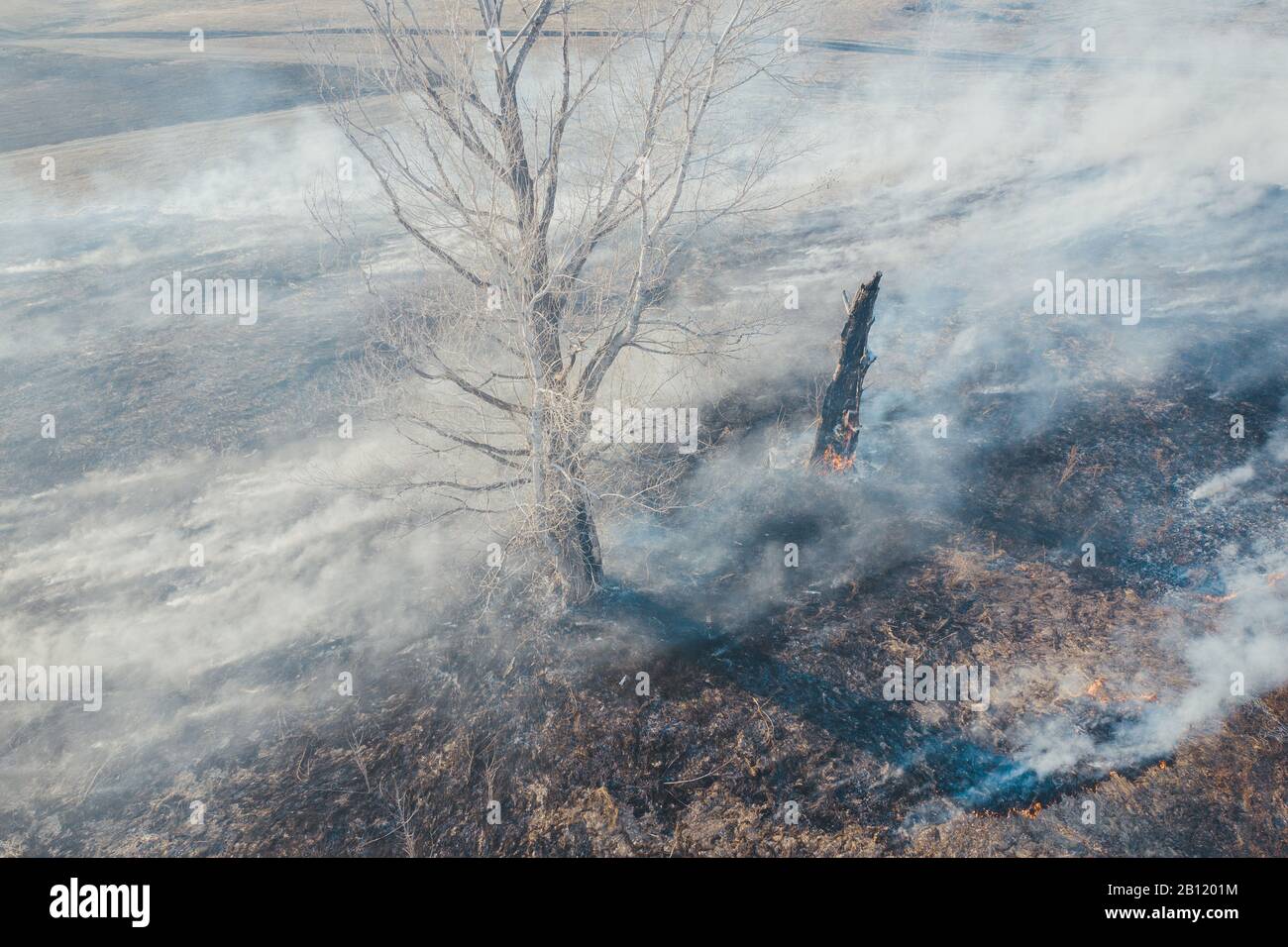 Forest fire aerial Stock Photo - Alamy