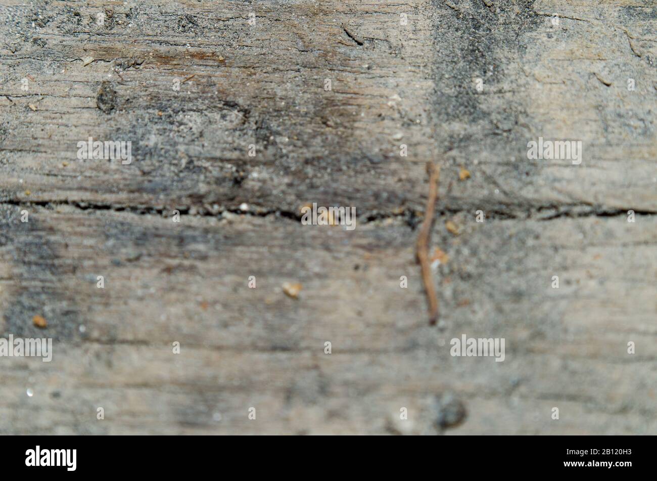Dirty Texture Natural Stock Photo - Alamy