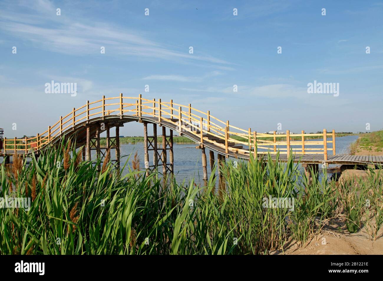 The wood bridge in wetland park Stock Photo - Alamy