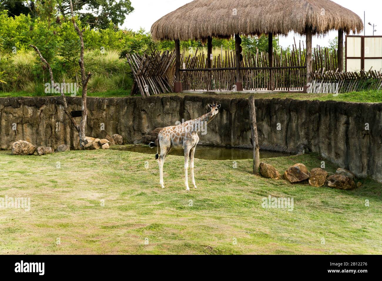 Wonderful Wildlife Landscapes at Ukumari Biopark in Pereira, Colombia ...
