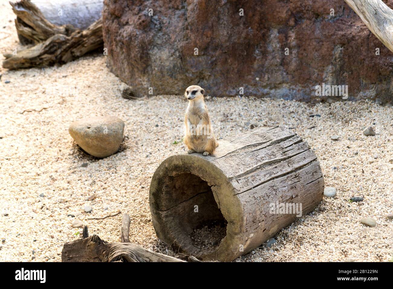 Wonderful Wildlife Landscapes at Ukumari Biopark in Pereira, Colombia ...