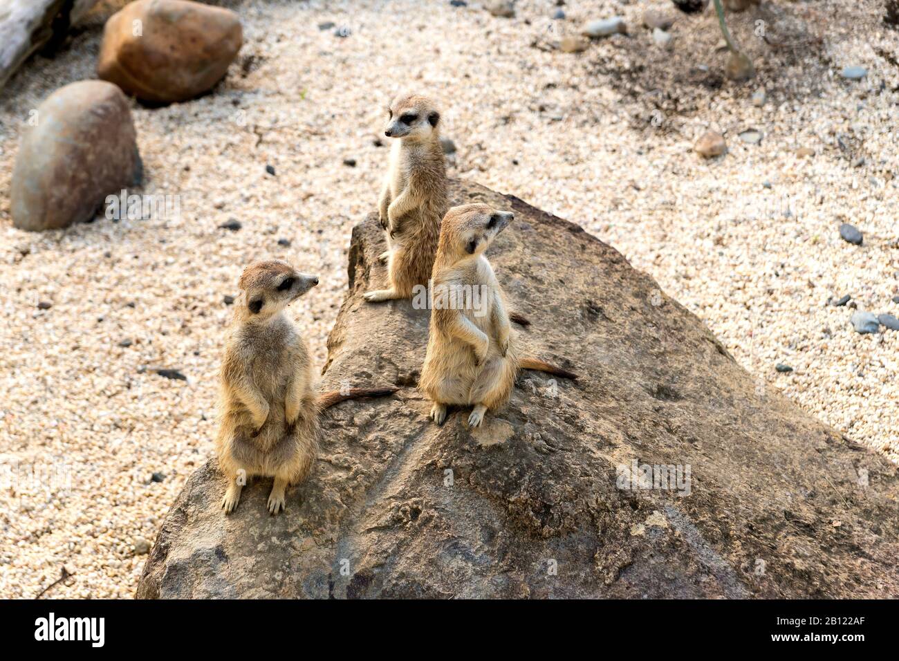 Wonderful Wildlife Landscapes at Ukumari Biopark in Pereira, Colombia ...