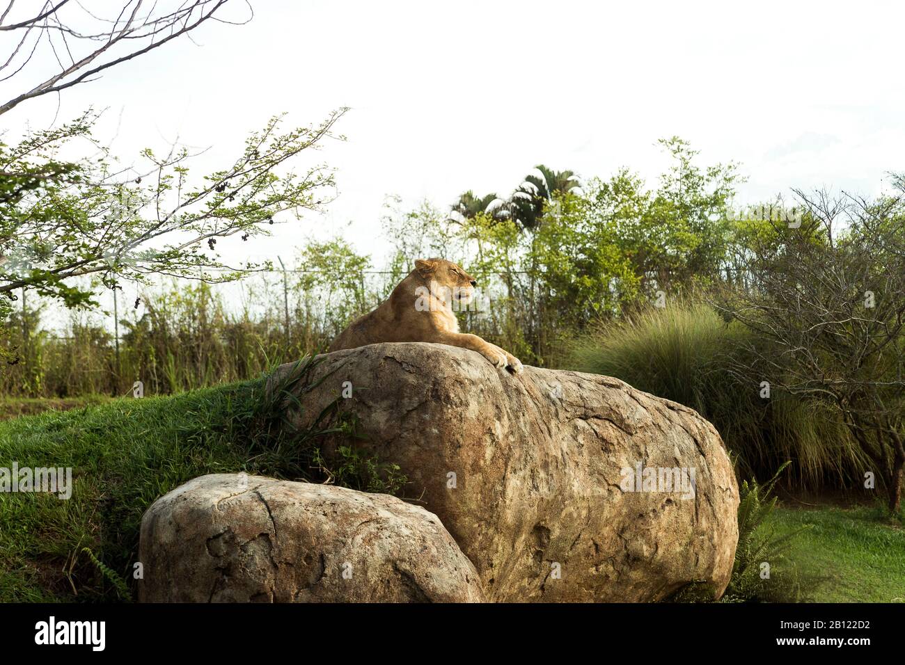 Wonderful Wildlife Landscapes at Ukumari Biopark in Pereira, Colombia ...
