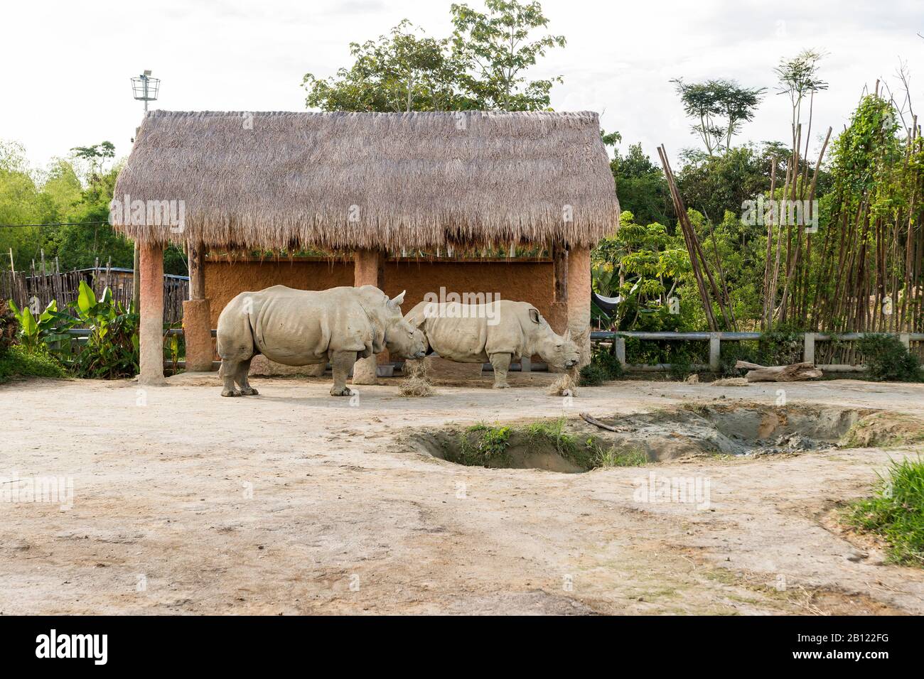 Wonderful Wildlife Landscapes at Ukumari Biopark in Pereira, Colombia ...