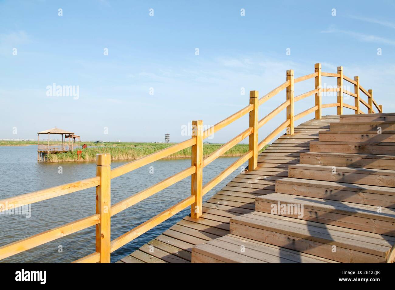 The wood bridge in wetland park Stock Photo - Alamy