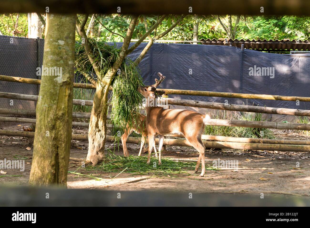 Wonderful Wildlife Landscapes at Ukumari Biopark in Pereira, Colombia ...