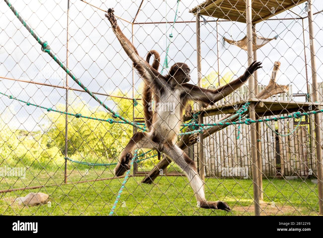Wonderful Wildlife Landscapes at Ukumari Biopark in Pereira, Colombia ...
