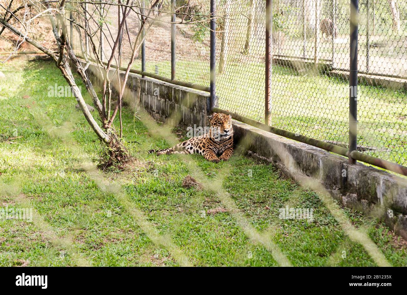 Wonderful Wildlife Landscapes at Ukumari Biopark in Pereira, Colombia ...