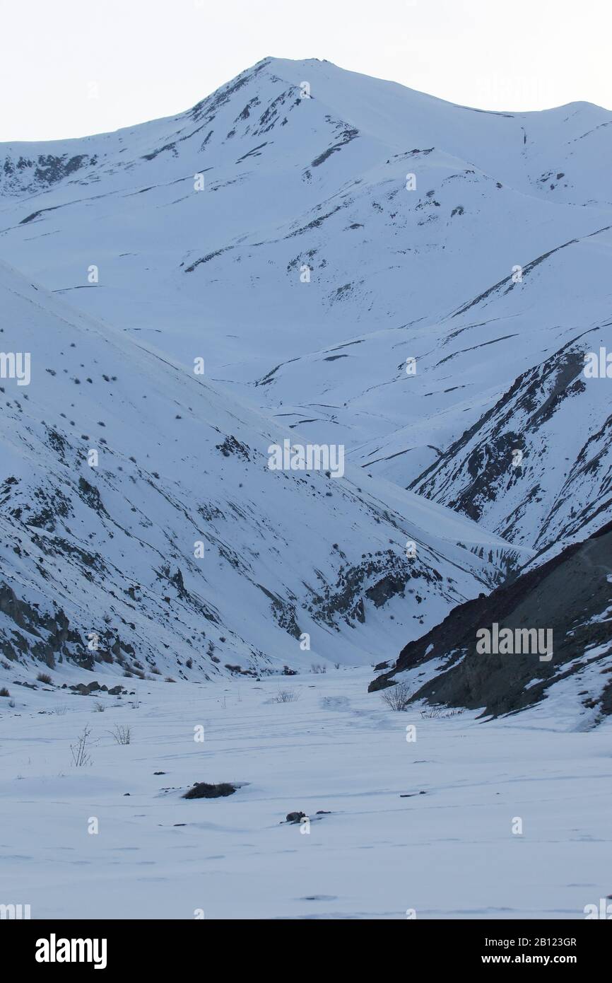 Rumbak valley. Hemis national park. Ladakh, Himalayas. India Stock ...