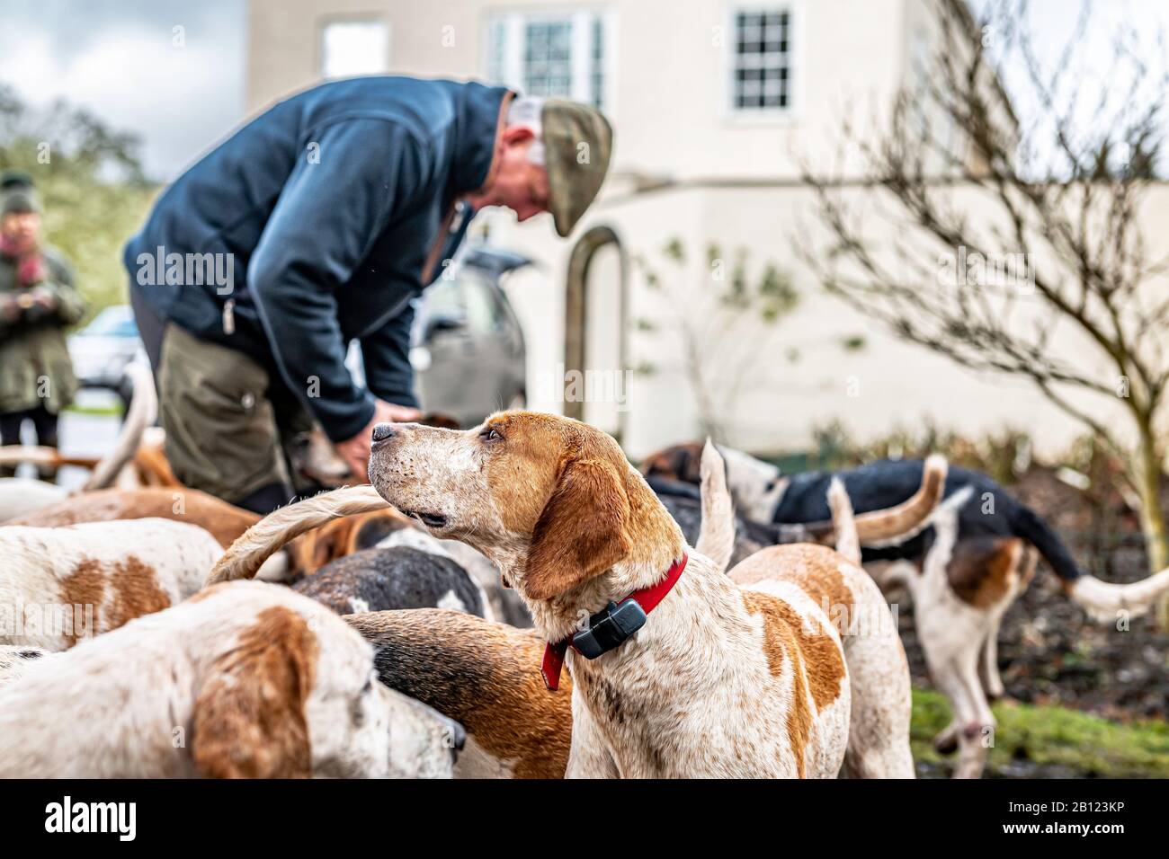 Fitted Collar High Resolution Stock Photography and Images - Alamy
